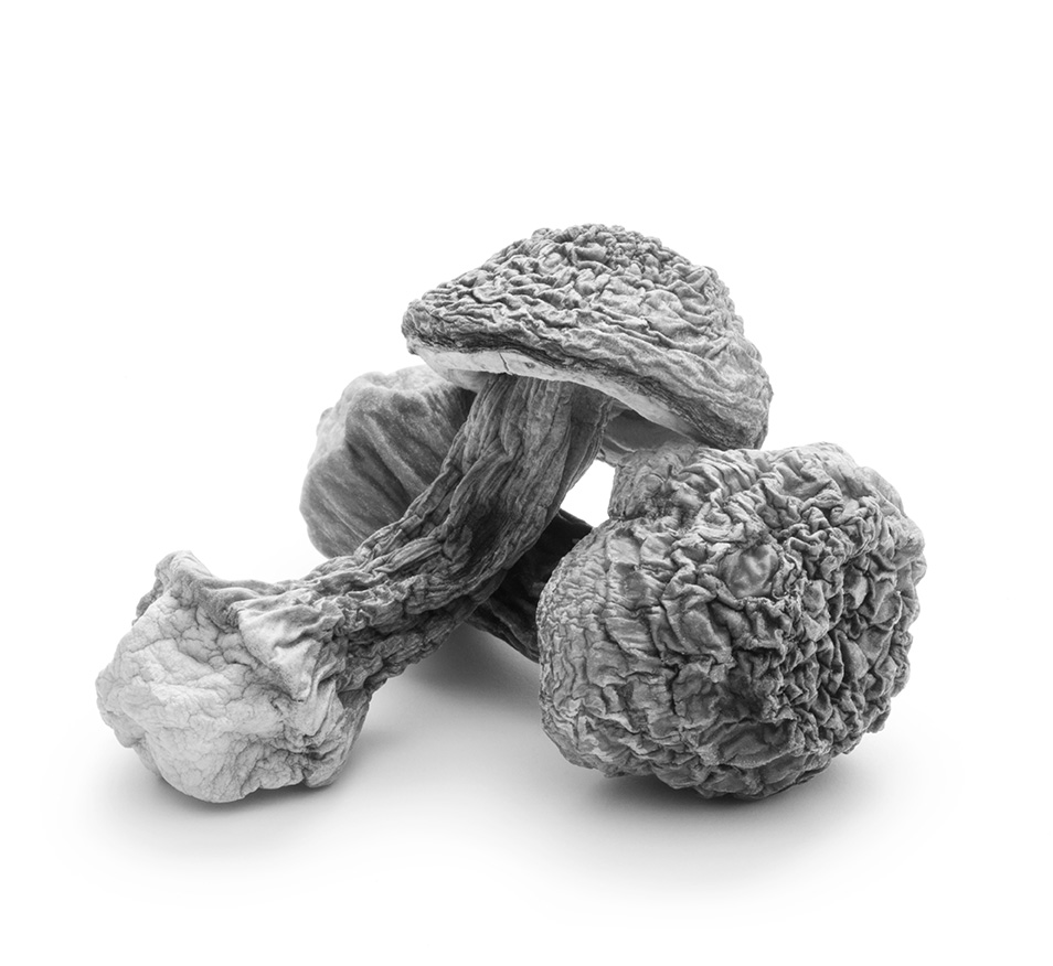 AgaricusPRIME™ | Functional Mushroom Supplier | NuLiv Science