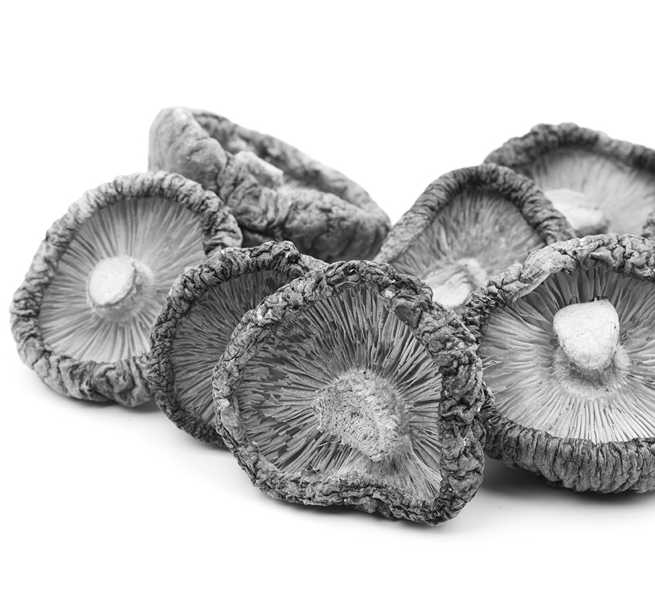 ShiitakePrime™ | Functional Mushroom Supplier | NuLiv Science