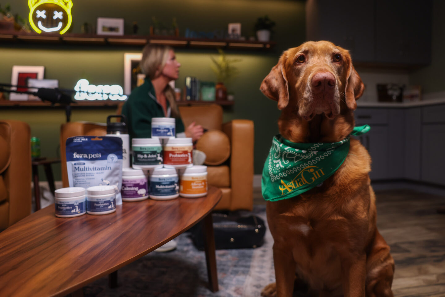 The Gut Is the Control Center of Pet Health - NuLiv Science